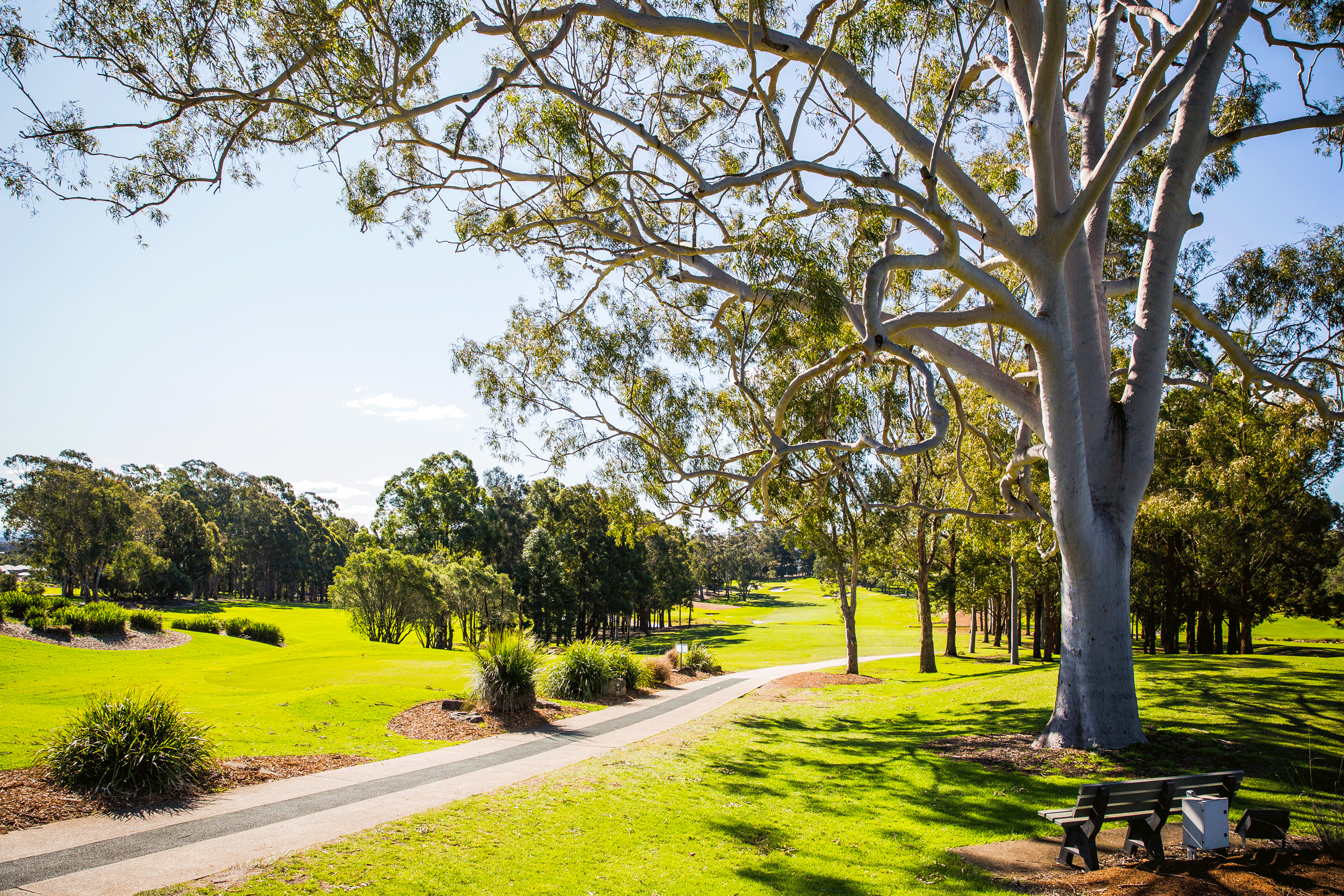 Guide to living in Box Hill, NSW